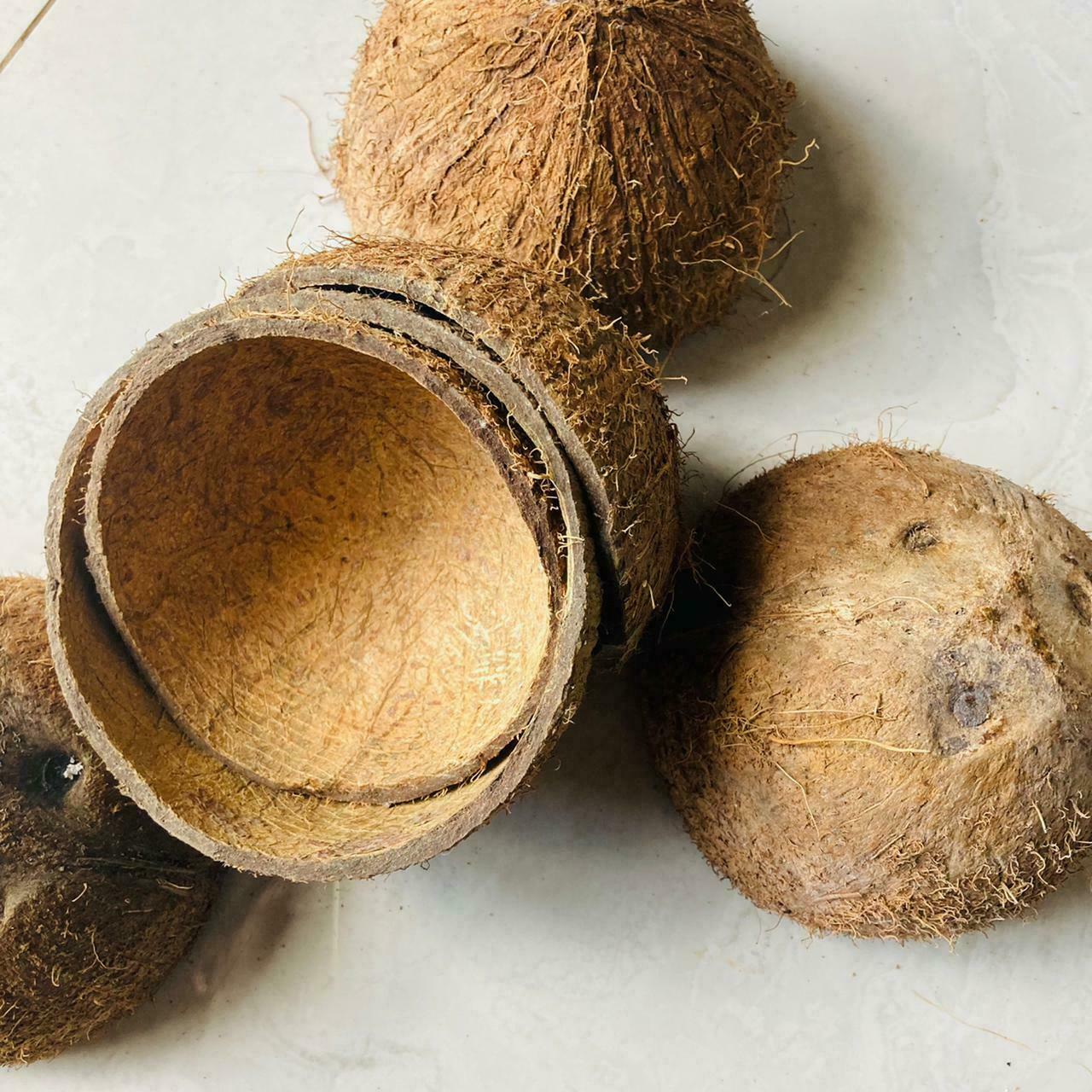 Eco friendly Coconut Shell Halves. | Upcountry Products Sri Lanka